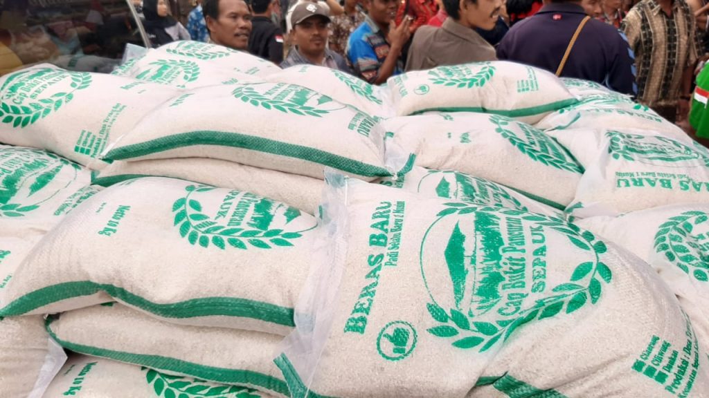 PECAHKAN TEMPAYAN, BUPATI SINTANG LAUNCHING BERAS BUKIT PANCURAN DI ...